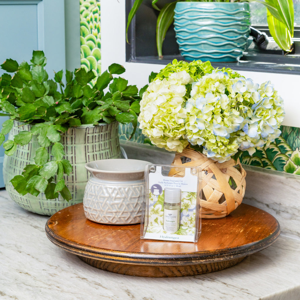 Hydrangea – Greenleaf Gifts